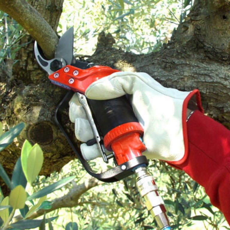 SÉCATEUR PNEUMATIQUE - GUIDE D'ACHAT - AgriEuro Blog